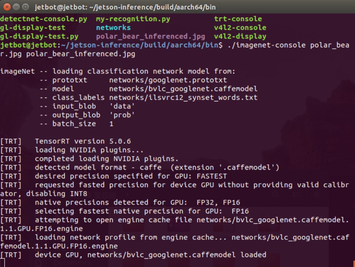 NVIDIA Jetson Nano 如何執行深度學習範例？分類模型辨識北極熊與即時影像人臉辨識 - CAVEDU教育團隊技術部落格